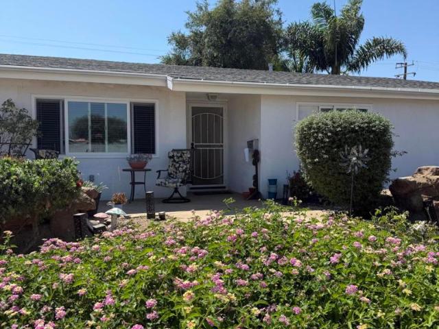 513 Jenny Drive