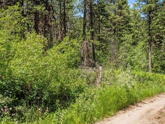 513 Susan Rd Lot 42, Cascade, ID 83611
