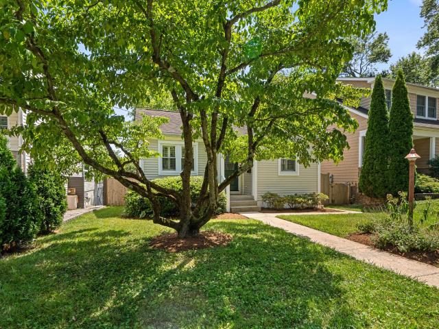 513 Park Road