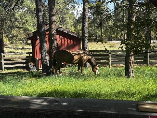513 W Log Hill Rd, Pagosa Springs, CO 81147