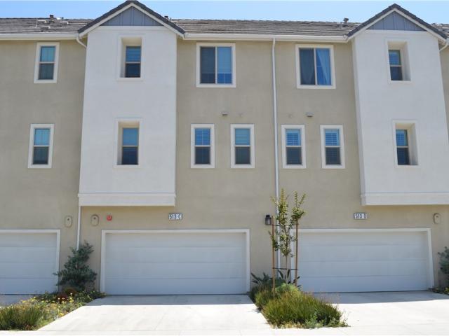 513 Tamarind
