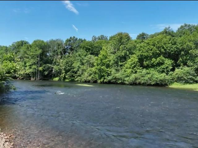 513 Turtle Trail
