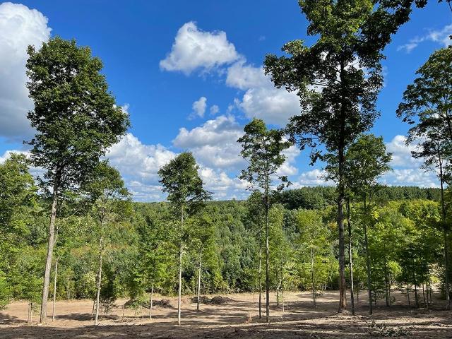 5142 Paradise Ranch # Lot: 7