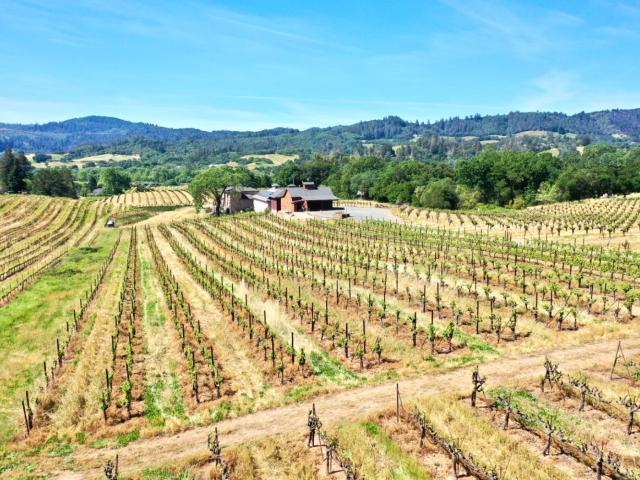 5143 Dry Creek Rd, Healdsburg, CA 95448 | MLS #326034