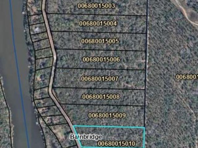 514 543 Tract 10 Rivervale Dr, Bainbridge, GA 39817