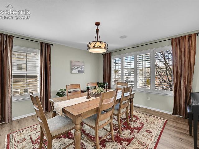 514 Coyote Willow Drive