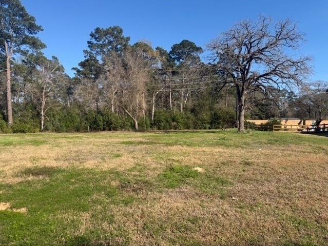 514 Black Bronco Rd, Magnolia, TX 77354