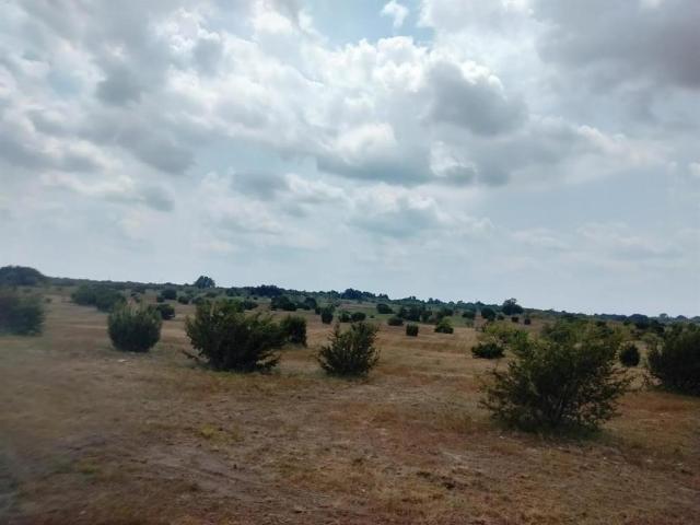 514 Hollow Dr, Lipan, TX 76462 | MLS #21328