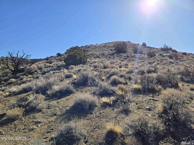 5150 Twin Springs Rd, Reno, NV 89510 | MLS #250058