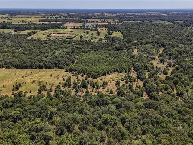 5151 Springfield, Normangee, TX 77871