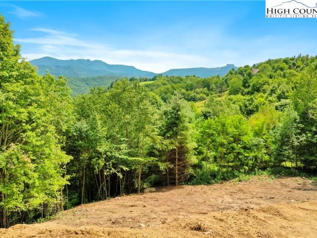 515 Grey Fox Ridge Road