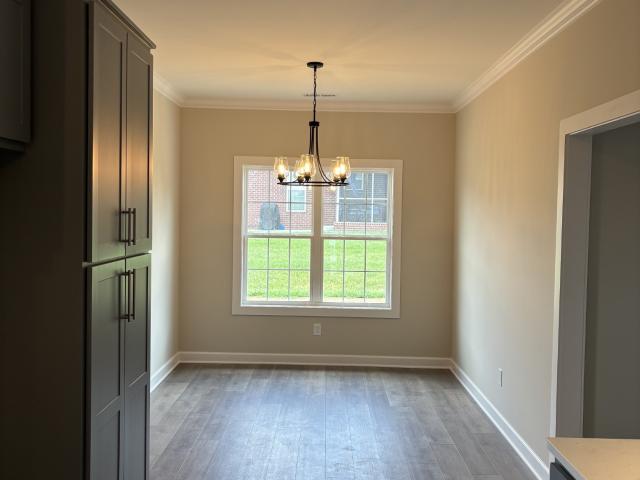 515 Dottie Drive