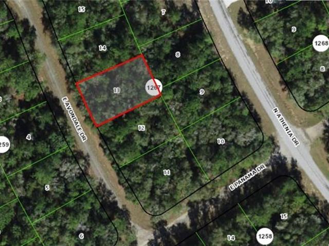 515 E Avondale Dr, Dunnellon, FL 34434