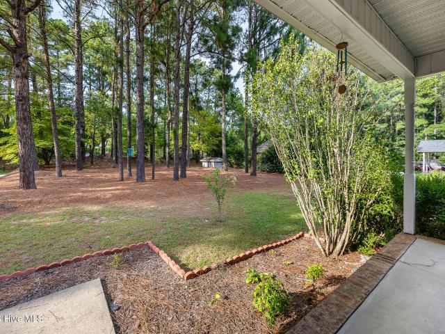 515 Holly Grove School Road