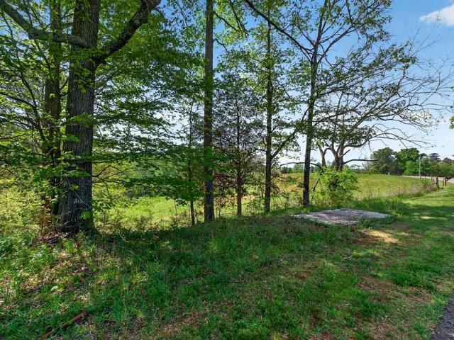 515 Jericho Rd