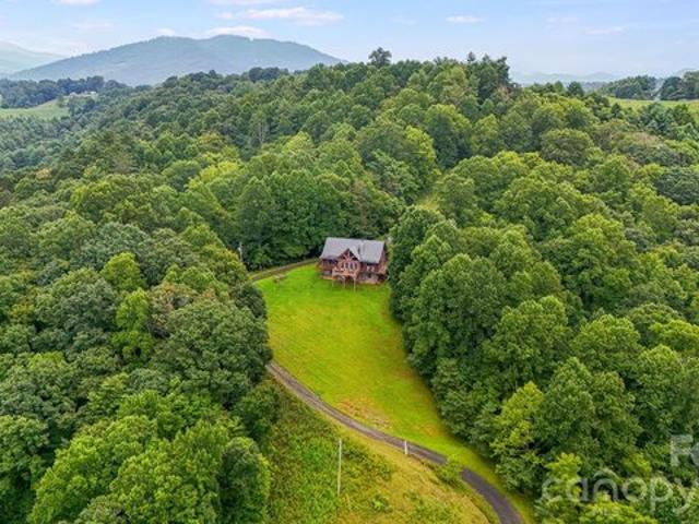 515 Racoon Branch Rd, Green Mountain, NC 28740