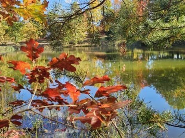 515 Wilderness Way, Dunlap, TN 37327 | MLS #3011