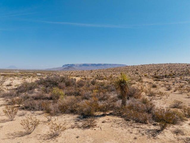 51675 State Highway 118, Alpine, TX 79830