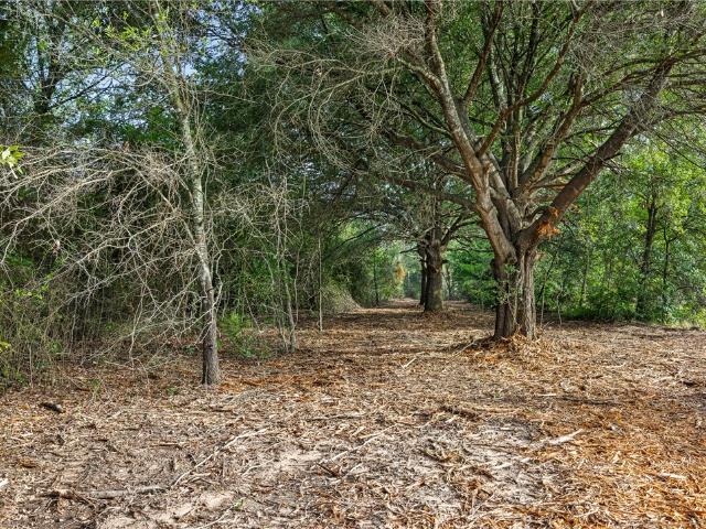 5163 County Road 358