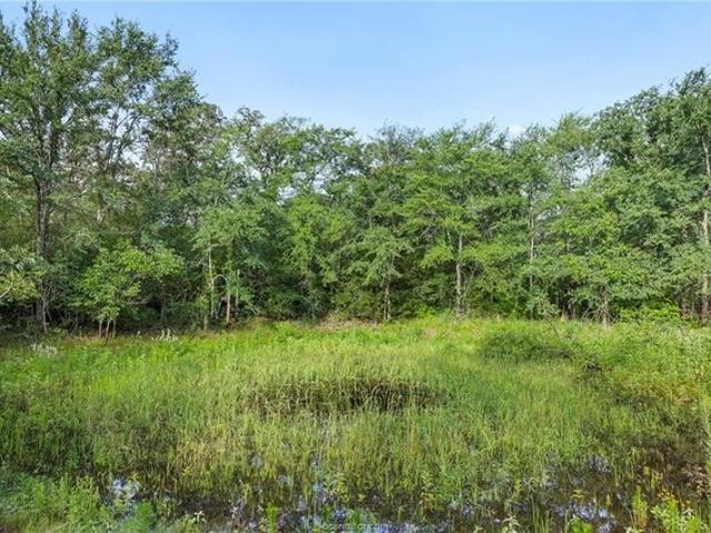 5163 County Road 358, Gause, TX 77836
