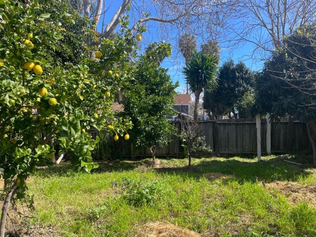 516 Bird Avenue