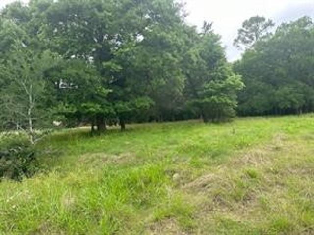 516 Falcon Dr, Trinity, TX 75862 | MLS #48554