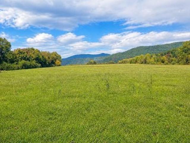 516 Petit Ln, Wartburg, TN 37887