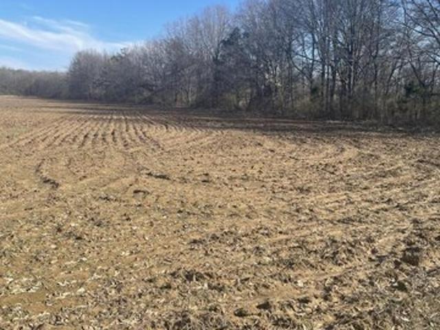 5177B Nash Rd, Batesville, MS 38606