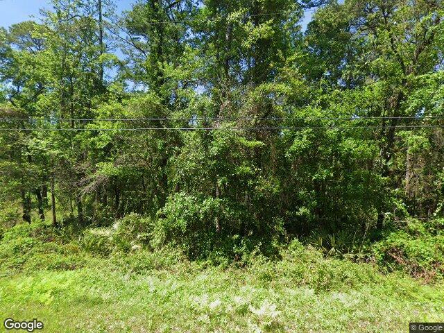 5179 Chicory Cir, Middleburg, FL 32068