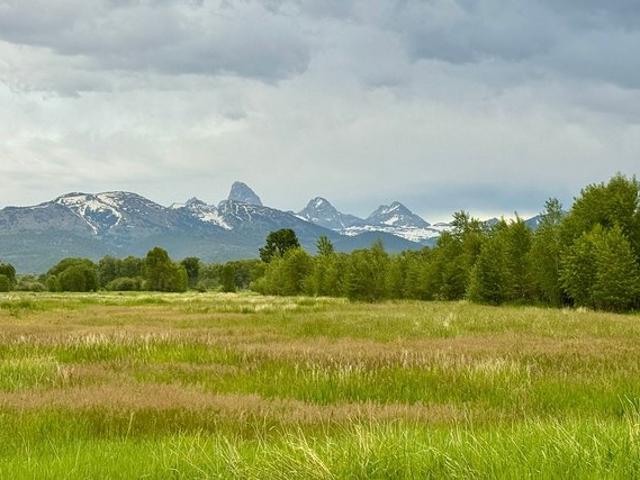 517 Granite Basin Loop, Tetonia, ID 83452
