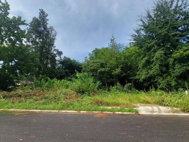 517 Dupont St, Augusta, GA 30901