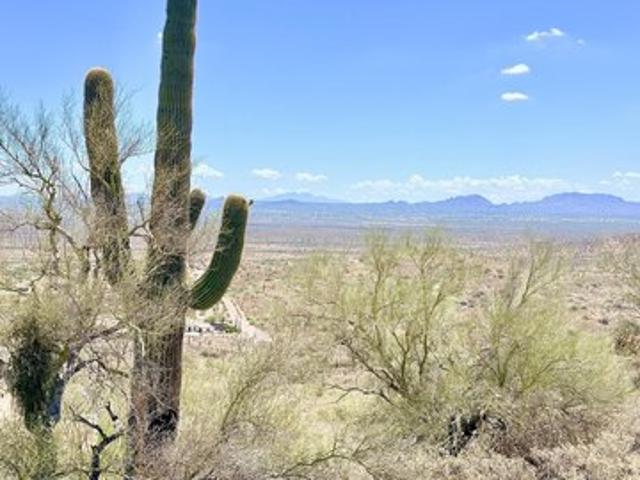517 E Old Way W, Phoenix, AZ 85085