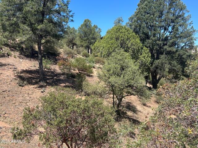 517 N Grapevine Dr, Unit 440, Payson, AZ 85541 | MLS #6866