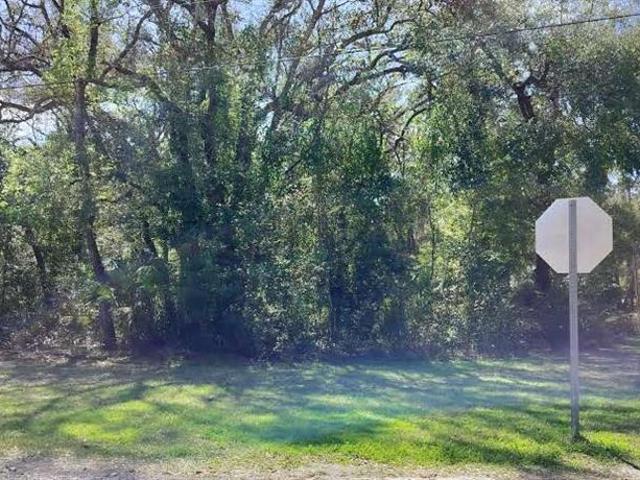 517 S Savary Ave, Inverness, FL 34453 | MLS #TB8354 | Compass