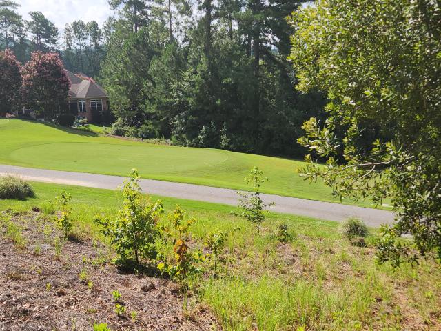 517 Pleasant Colony Drive