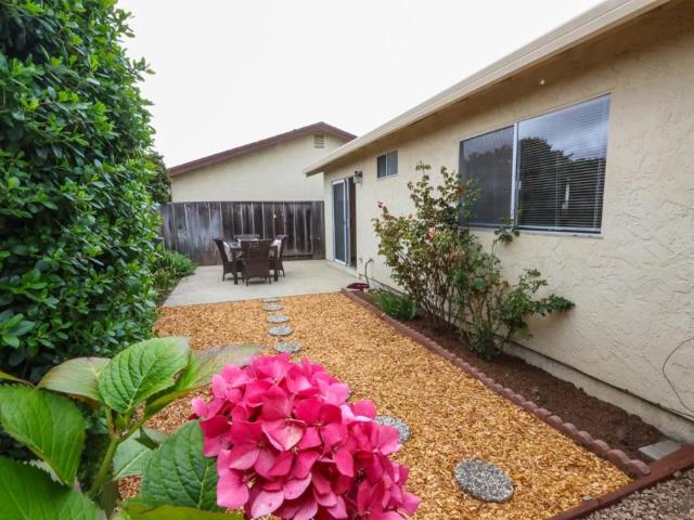 517 Vivienne Drive