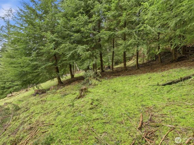 5184 Ridgeline Pl, Oak Harbor, WA 98277 | MLS #2466