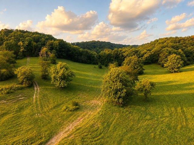 5185 Old Harding Rd, Franklin, TN 37064