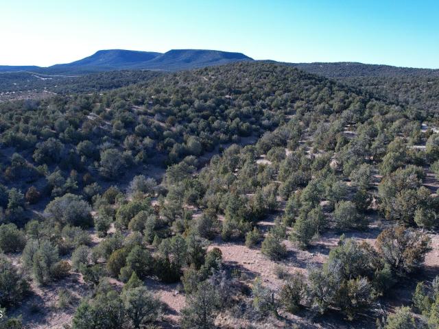 51874 Corofro Rd, Seligman, AZ 86337 | MLS #1045