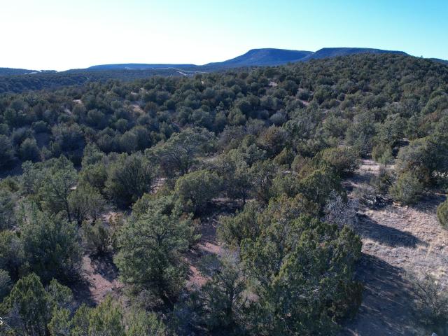 51804 Corofro Rd, Seligman, AZ 86337 | MLS #1045 | Compass