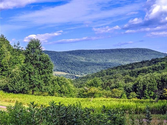 5180 County Hwy, Franklin, NY 13846 | MLS #R1673 | Compass