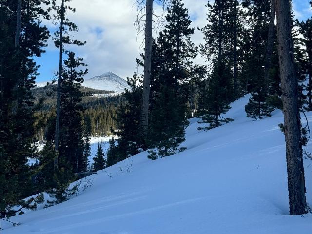 518 Golden Age Dr, Breckenridge, CO 80424 | MLS #S1067