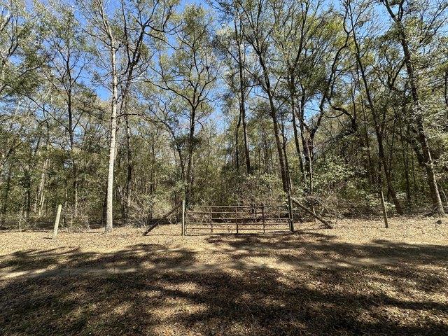 5194 Kuzia Rd, Meggett, SC 29449