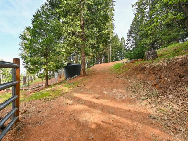 5194 Woodhaven Dr, Grizzly Flats, CA 95636 | MLS #226039