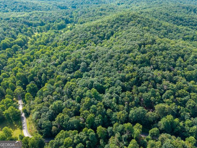 5198 Flat Branch Road