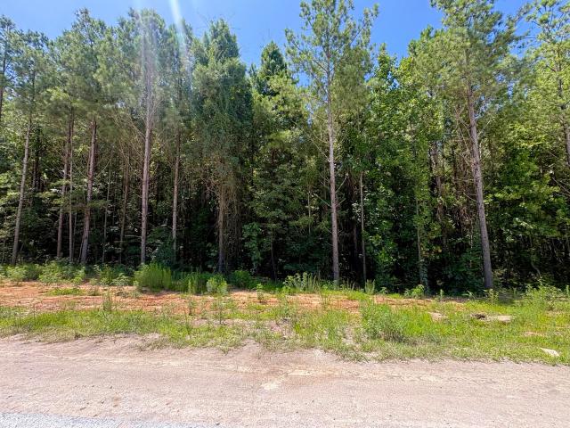 5199 Split Rail Way