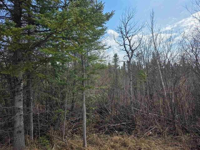 5191 Onaway Rd, Indian River, MI 49749