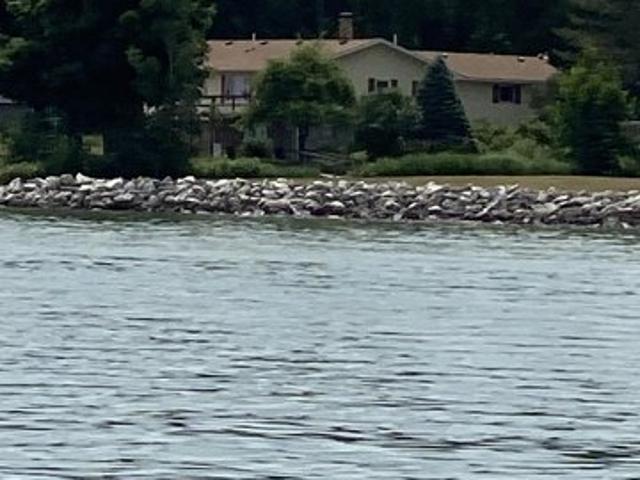 5193 Scenic Dr Ste Marie, Sault Sainte Marie, MI 49783