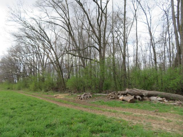 5193 Textile Road, Ypsilanti, US, MI