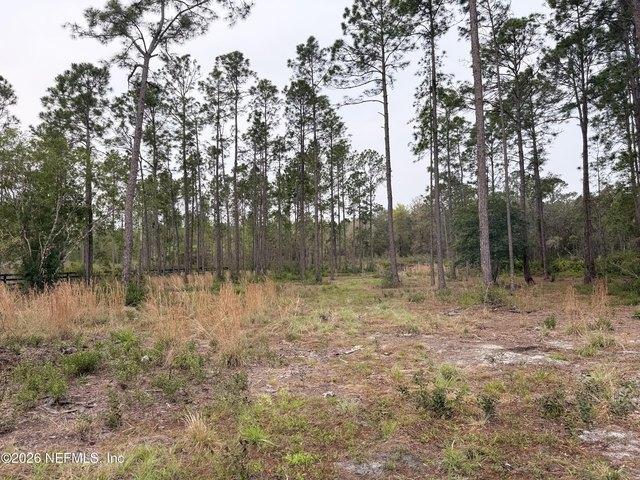 519 5th St, Satsuma, FL 32189